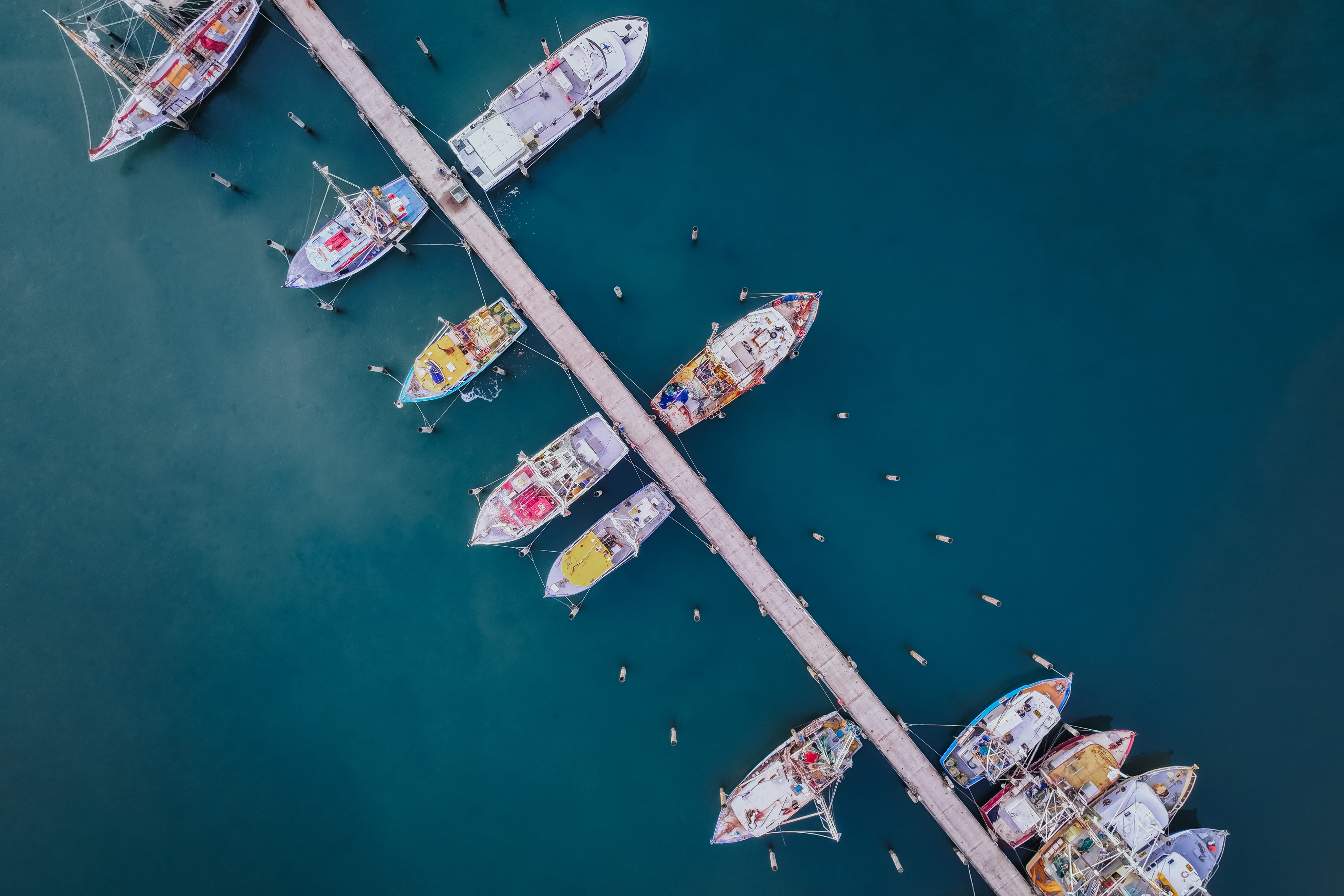 secret spots 10 unexpected Sunshine Coast experiences you’ll want to ...